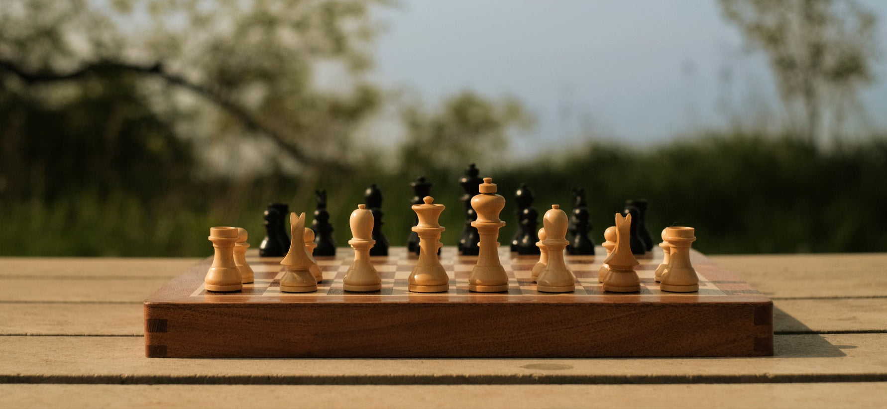 How to Play Chess by Yourself: Practice & Solo Modes – World Chess Shop